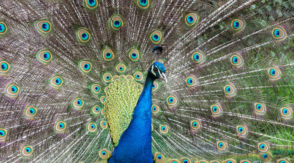 Les nouveautés du Zoo | Zoo de Bâle