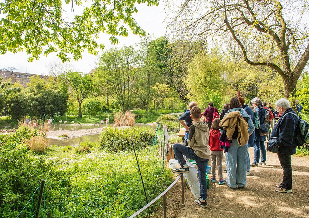 An overview of the zoo | Basel Zoo