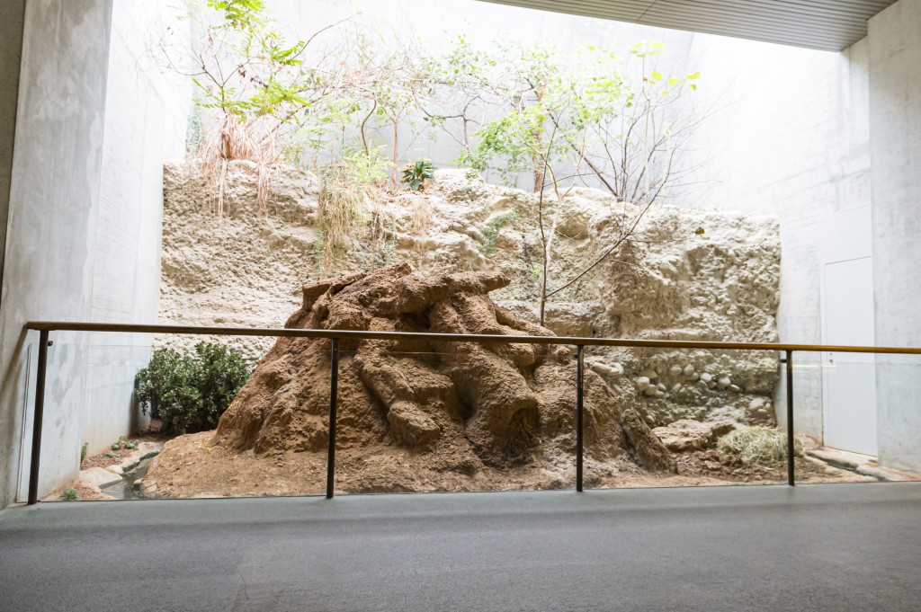 Termiten Fortpflanzung